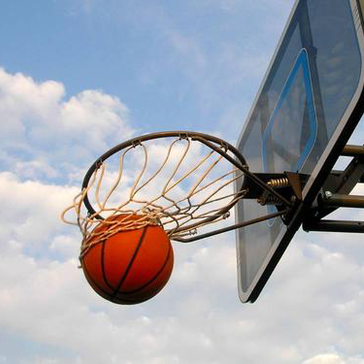 Publications | Xiang (Shawn) Fei